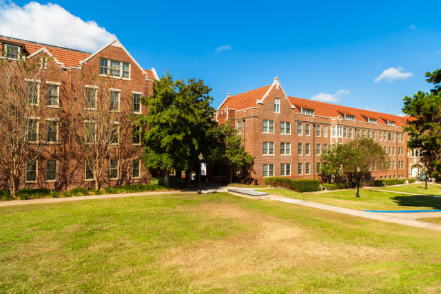 Pros and Cons of Continuing into an Academic Career