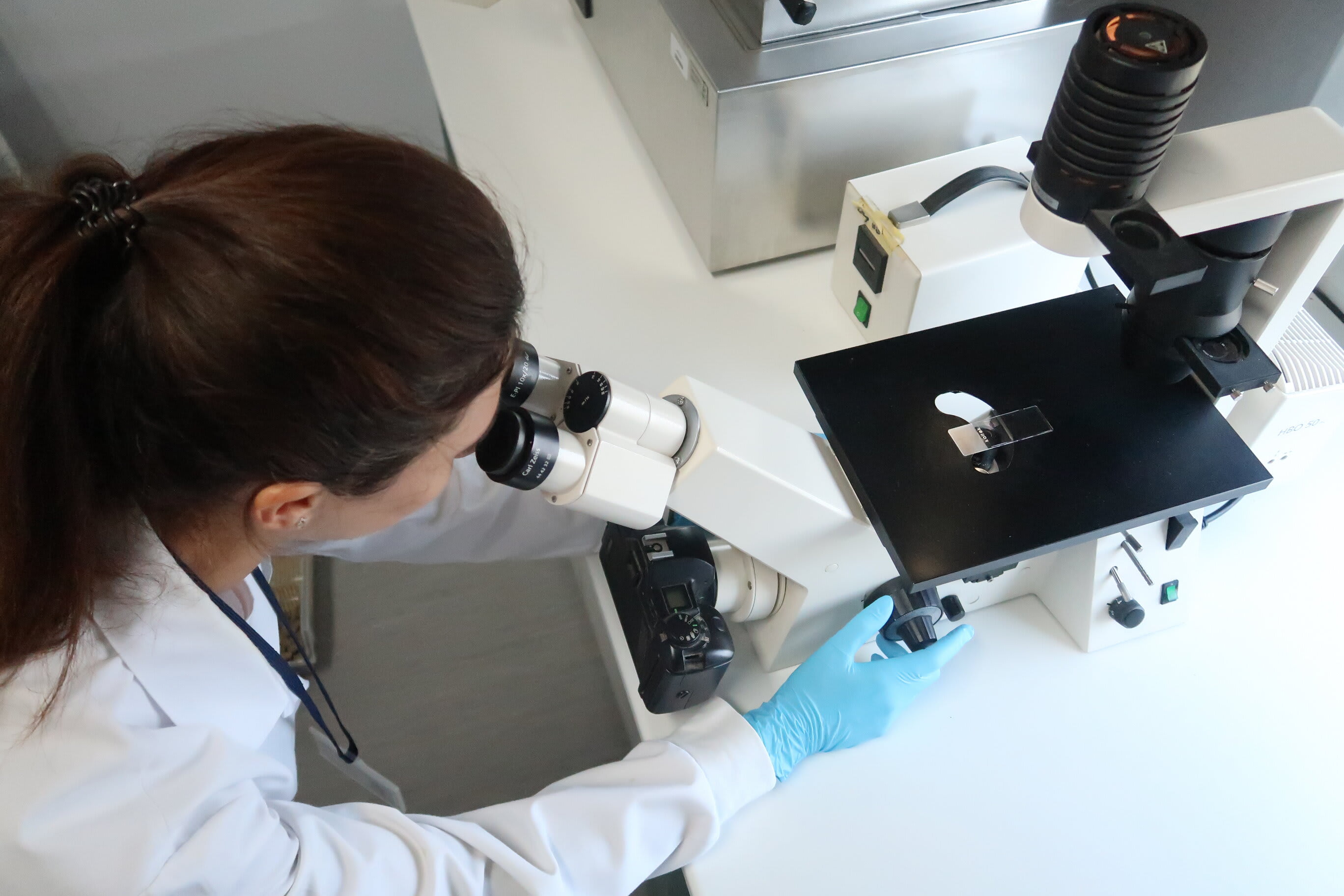 Why Employers Choose Biomedical Sciences Graduates Why Employers Choose Biomedical Sciences Graduates