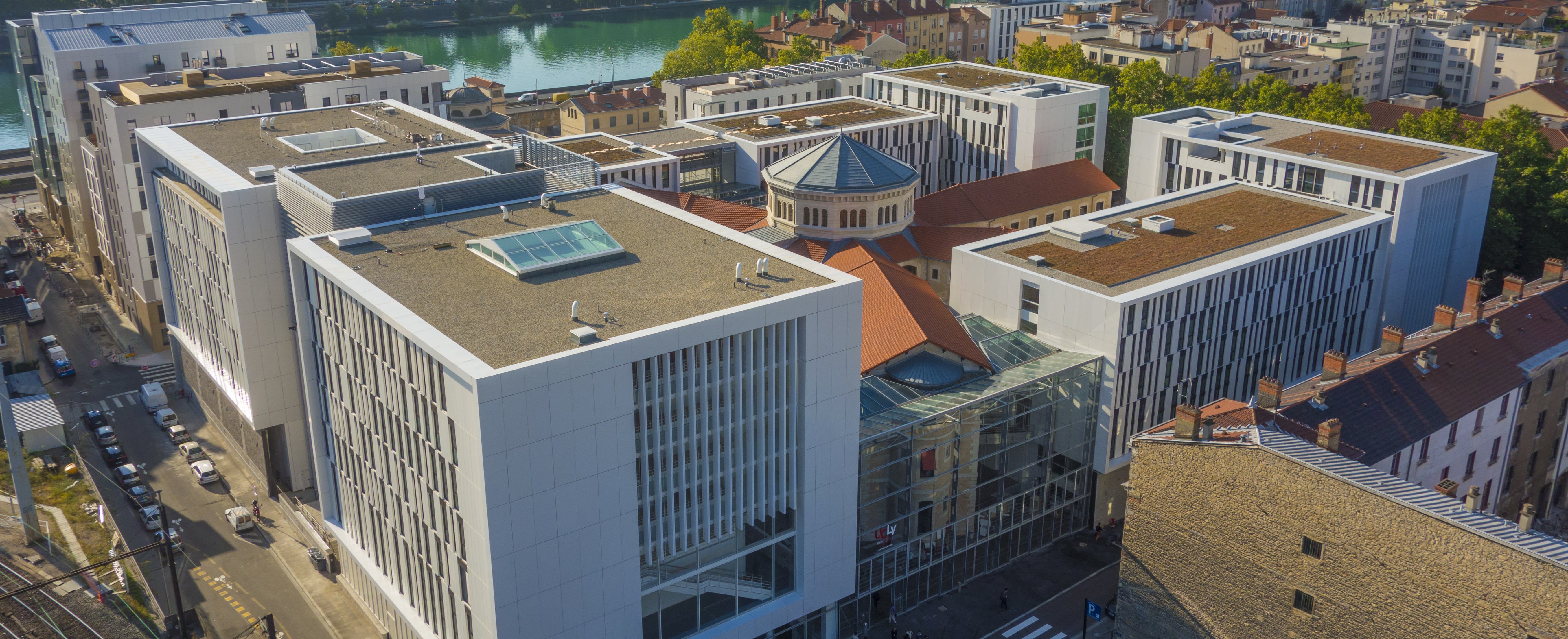 Bachelor In International Business Lyon France 2023 bachelor-in-international-business-lyon-france-2023