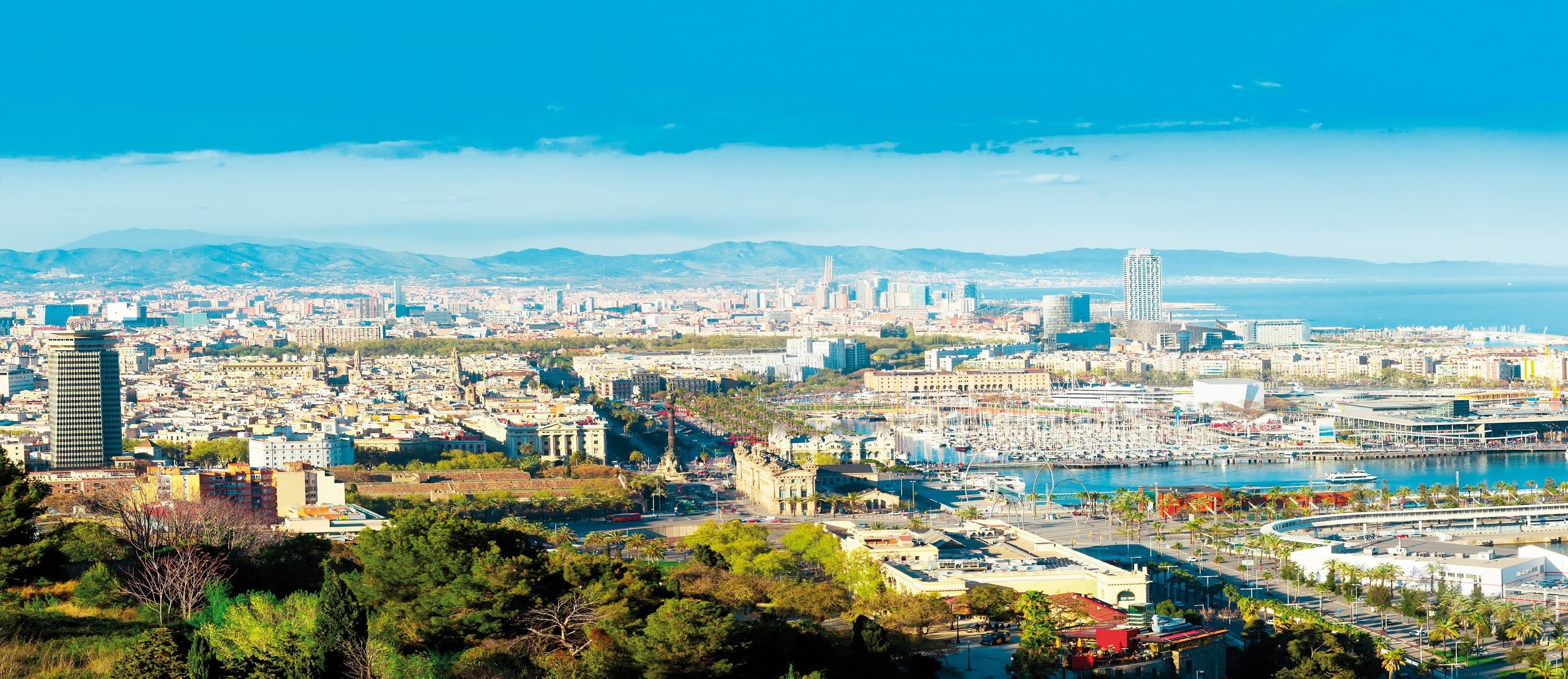 EU Business School Online