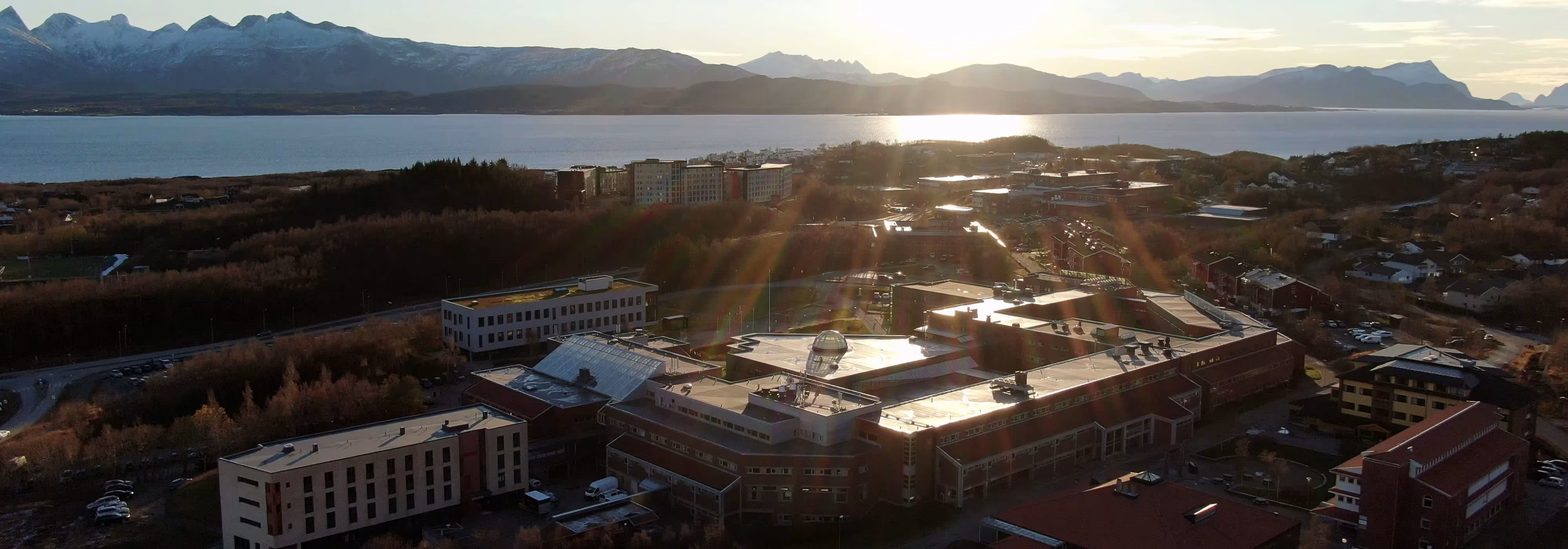 Nord University - Business School: 程序, 招生 | educations.com