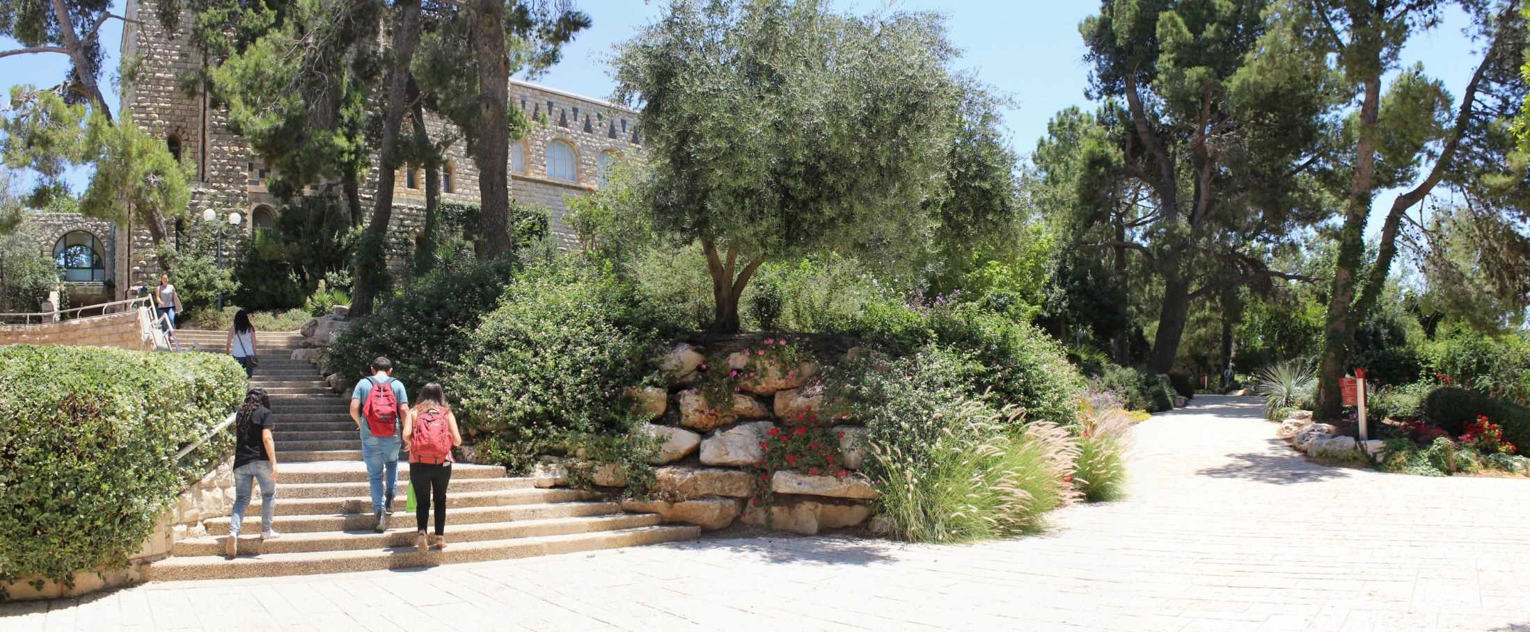 The Hebrew University Of Jerusalem