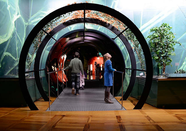 Seven STEM Wonders of the Museum World