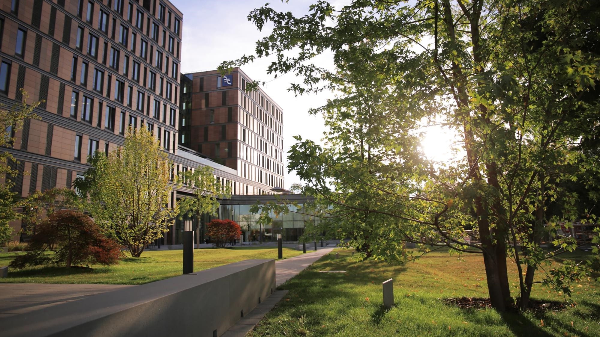 Frankfurt School of Finance & Management - Sustainable World Academy