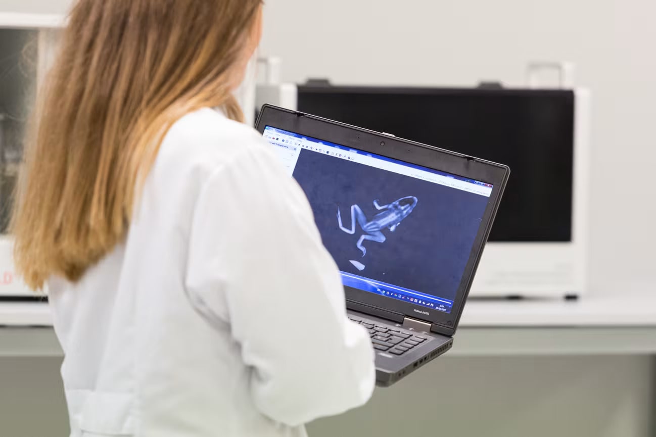 European Dual Studies University