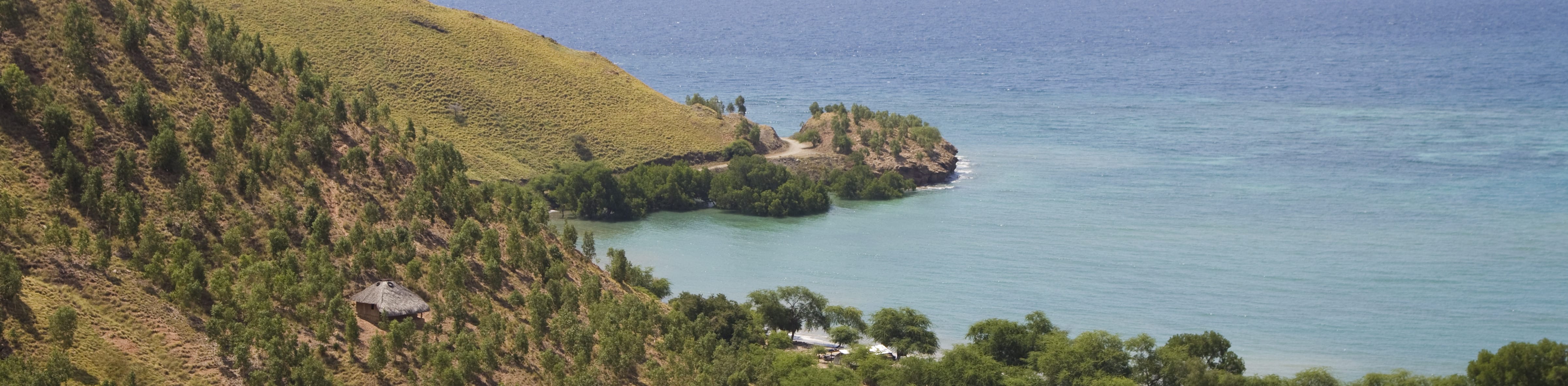 east timor currency name