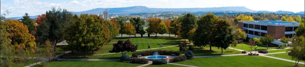 Solicitud Escuela University Gardens | Fasci Garden