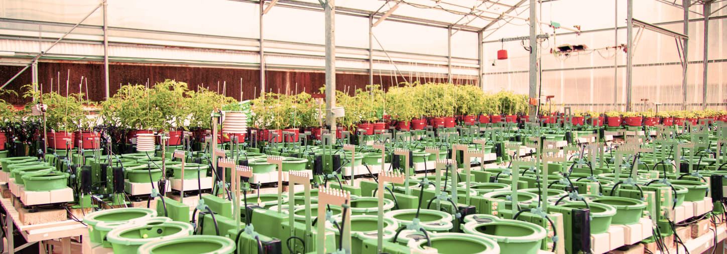 The Hebrew University of Jerusalem MSc in Soil and Water Sciences