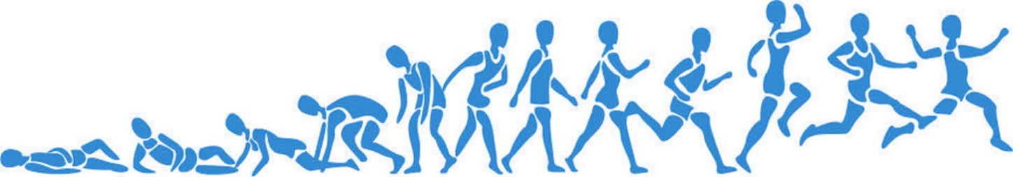 University of Pécs BSc in Physiotherapy