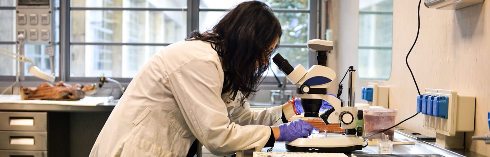 Top Degrees in Art Studies Arts Art Conservation 2025