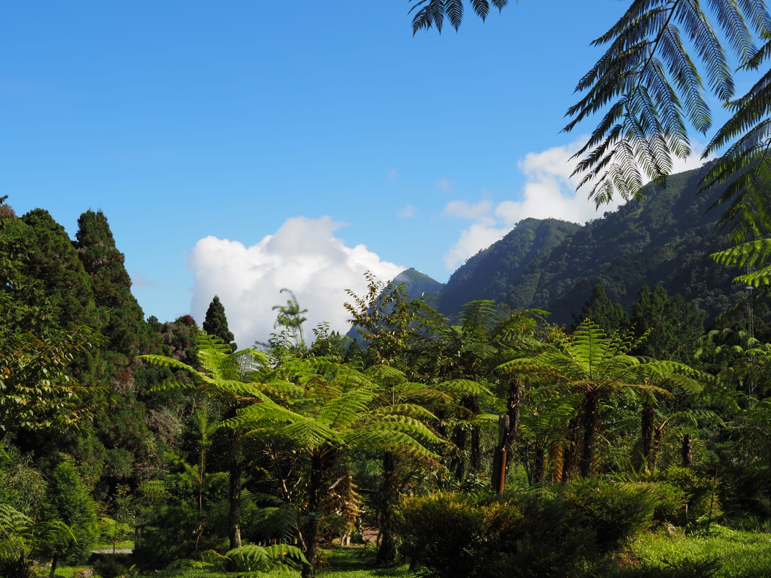 Top Degrees in Environmental Studies in Taiwan for 2025