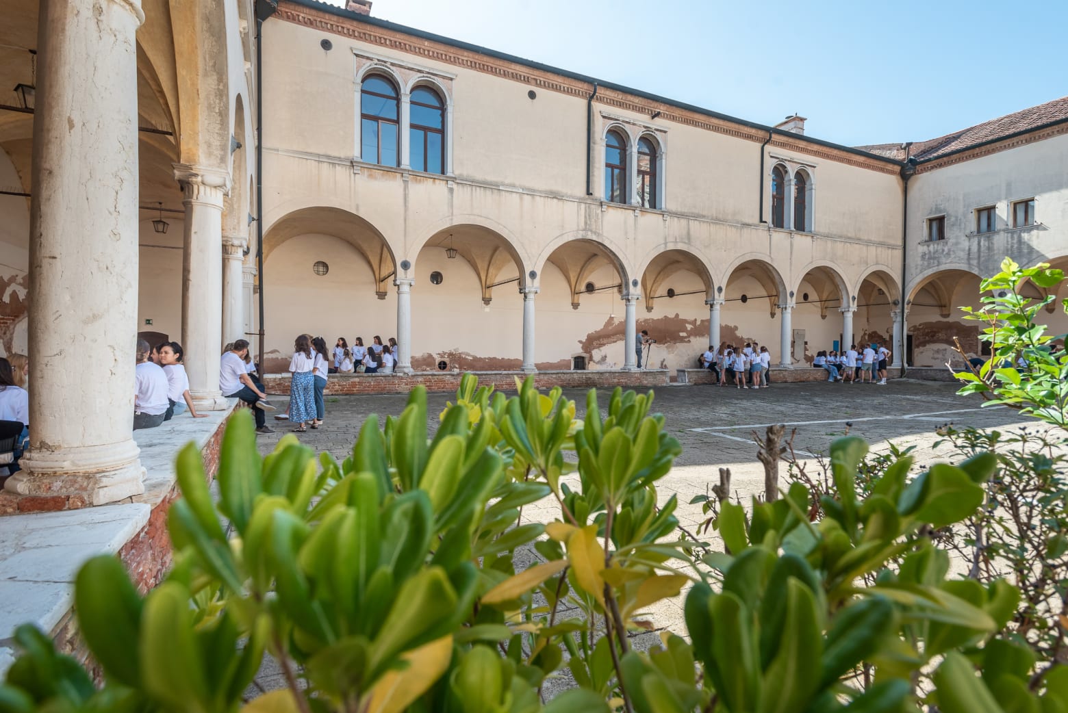 Top On-Campus Degrees in Social Sciences Political Science Human Rights ...