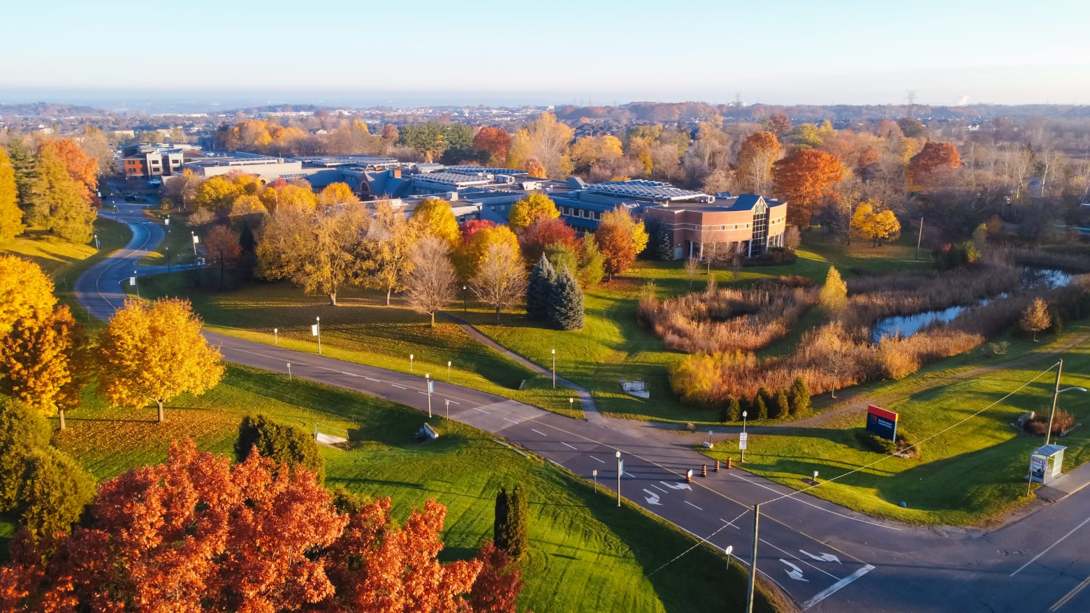 Top Certificates Degrees in Management Studies Organizational ...