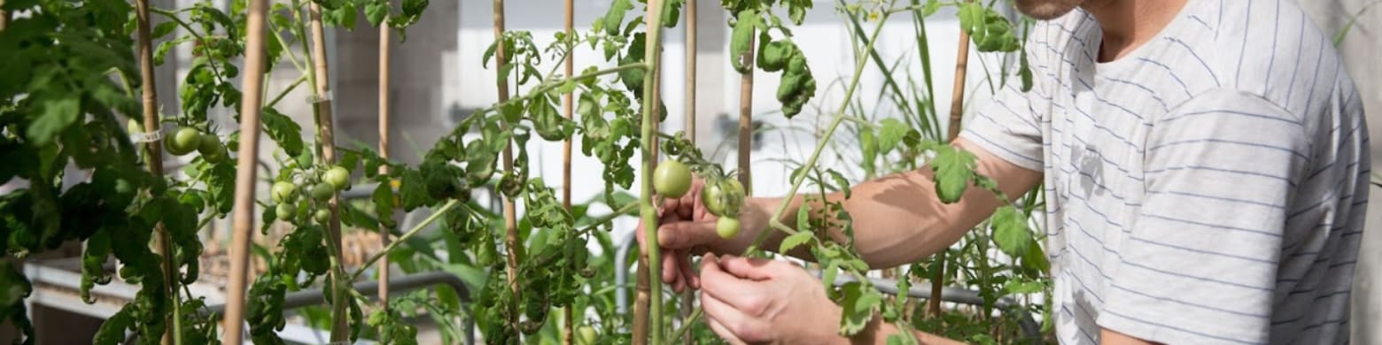 Top Masters of Science (MSc) Degrees in Life Sciences Horticulture 2024