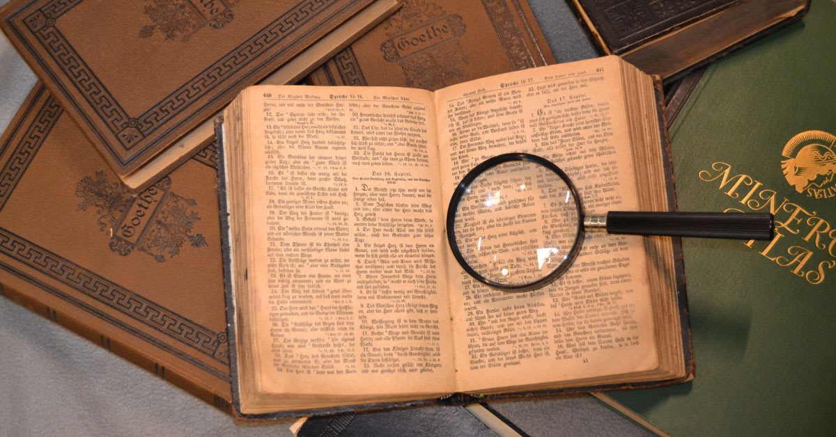 Study History: The Ultimate Student Guide (2025)