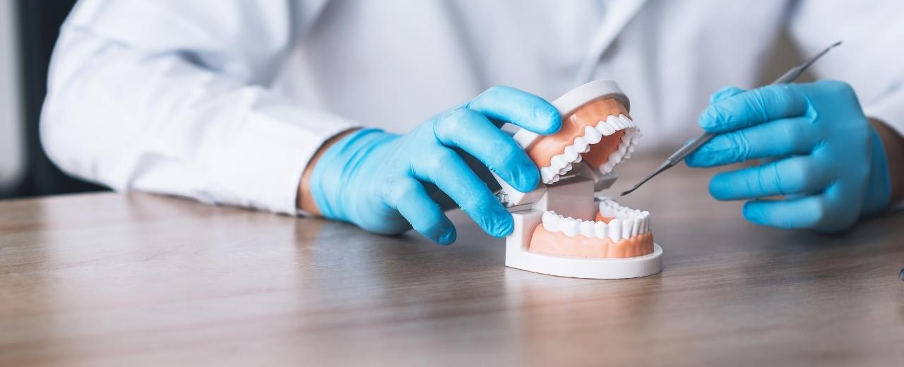 30 Dental Technology Degree Programs Abroad | educations.com