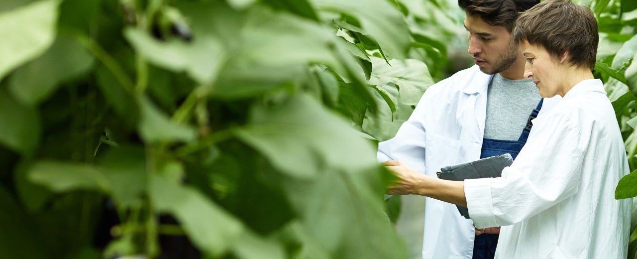 95 Film and Television Directing degrees (2025)