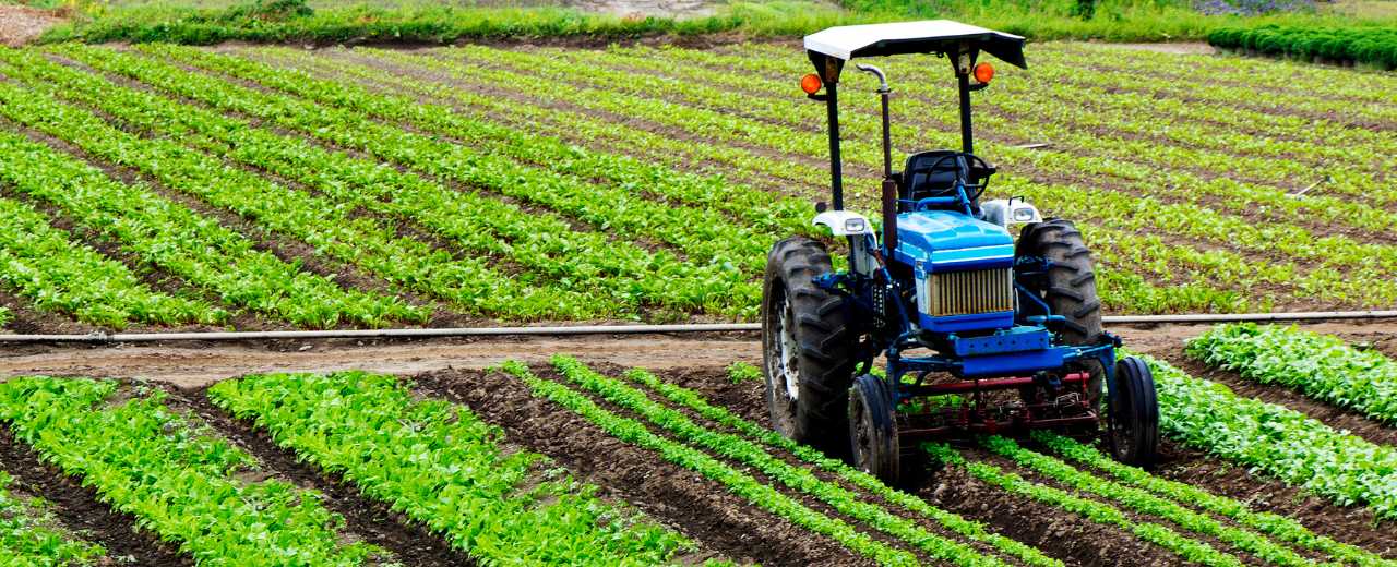 122 Agricultural Engineering Degree Programs Abroad | educations.com