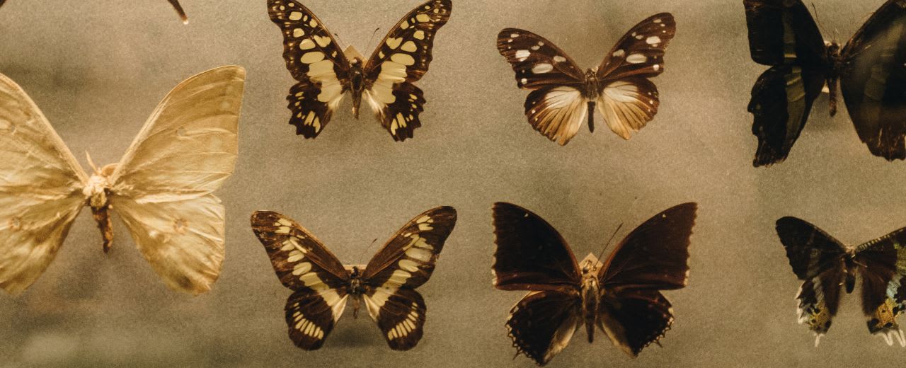 65 Entomology Degree Programs Abroad | educations.com