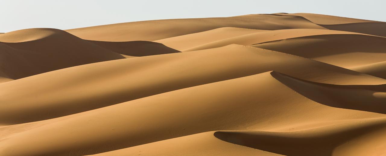 101 Middle East Studies Degree Programs Abroad | educations.com