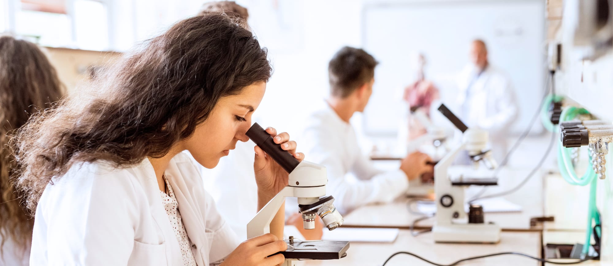 Biology Degree Guide: Requirements, Curriculum & Career