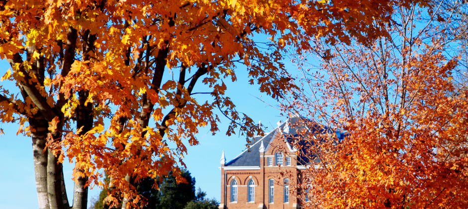 Transnational Education: What is a Branch Campus?
